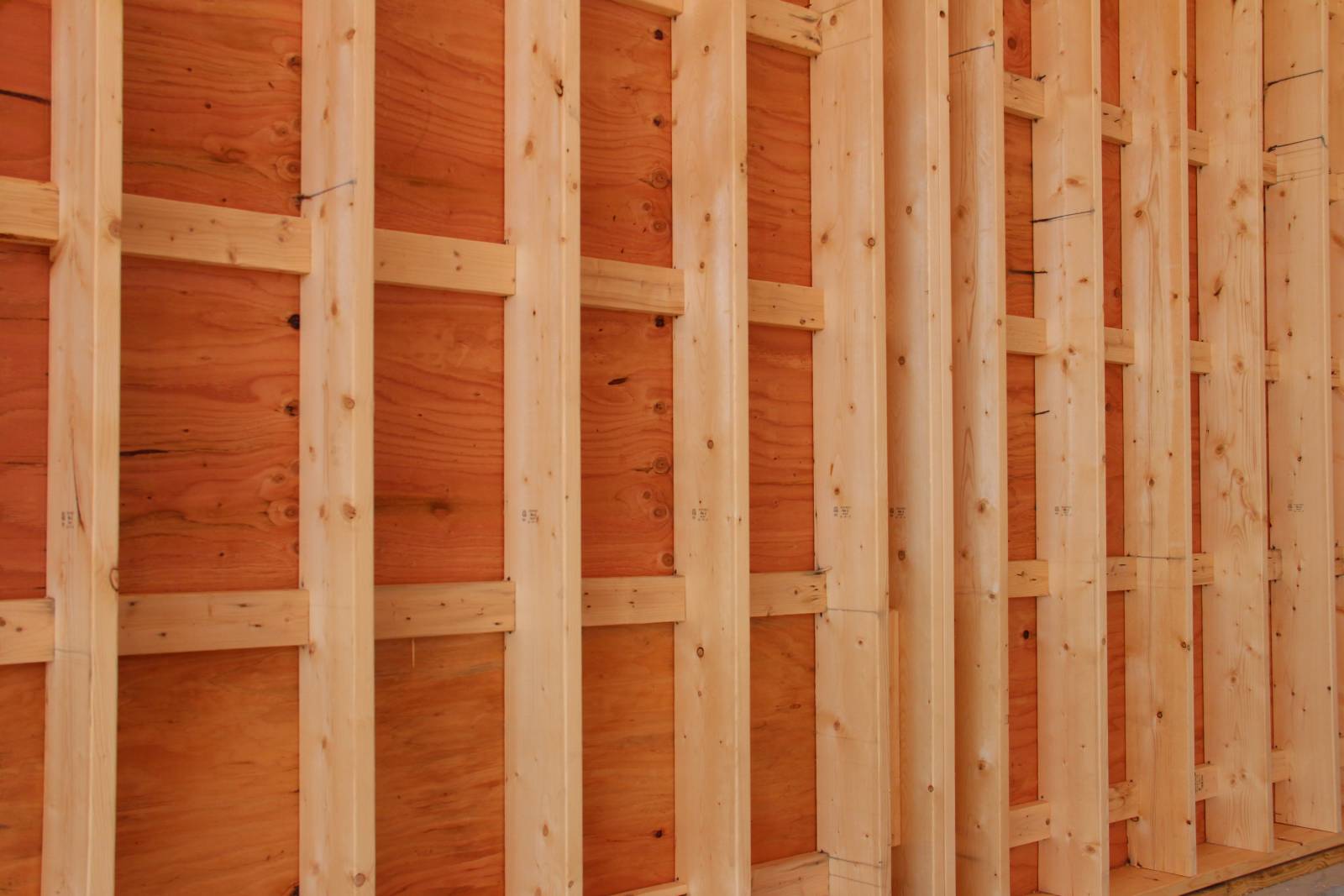 That's a Wrap on Crane Week | The Barn Yard