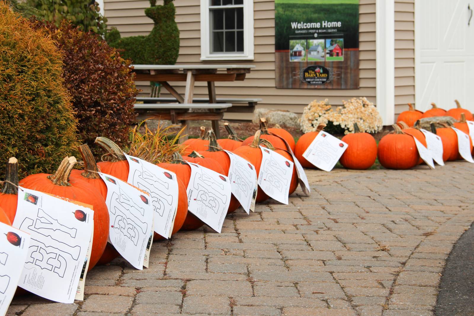 Fall Festival 2015 | The Barn Yard