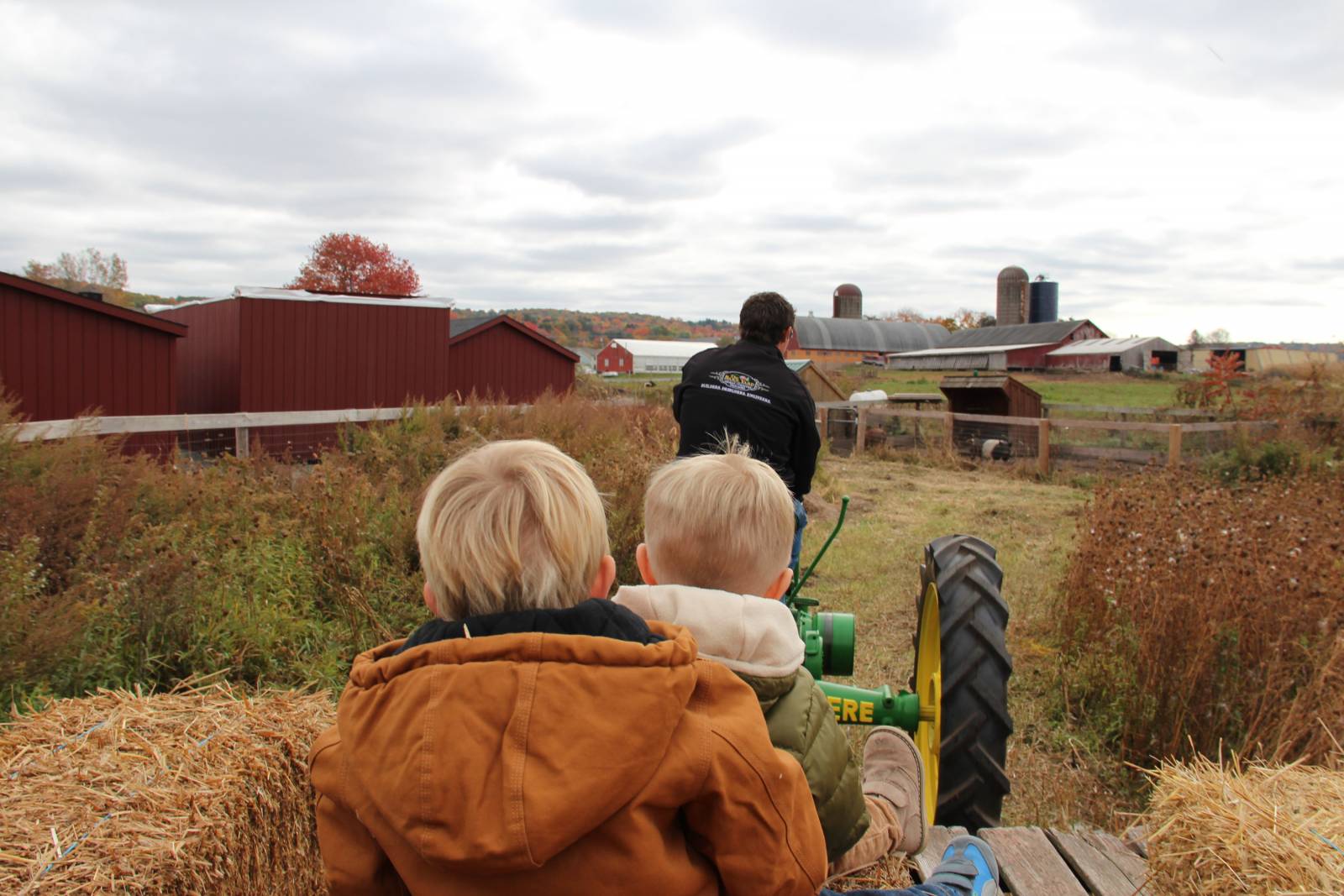 Fall Festival 2015 | The Barn Yard