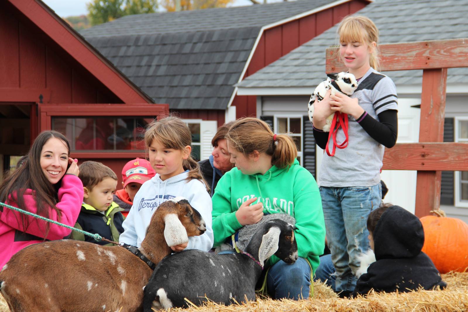 Fall Festival 2015 | The Barn Yard