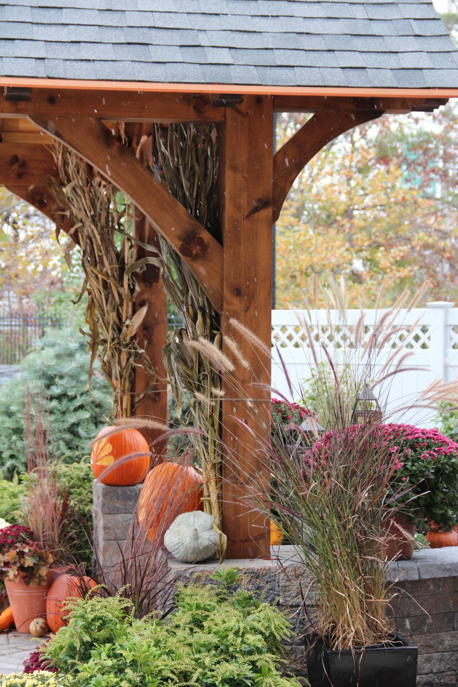 The Barn Yard Outdoor Studio at NBC Connecticut | The Barn Yard