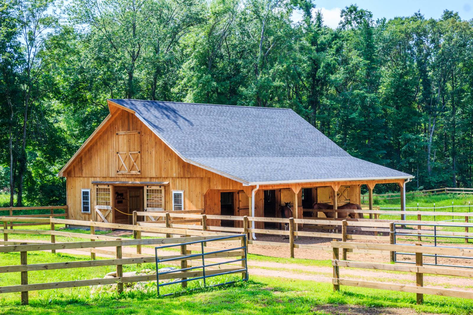 Lean-To Overhangs | The Barn Yard