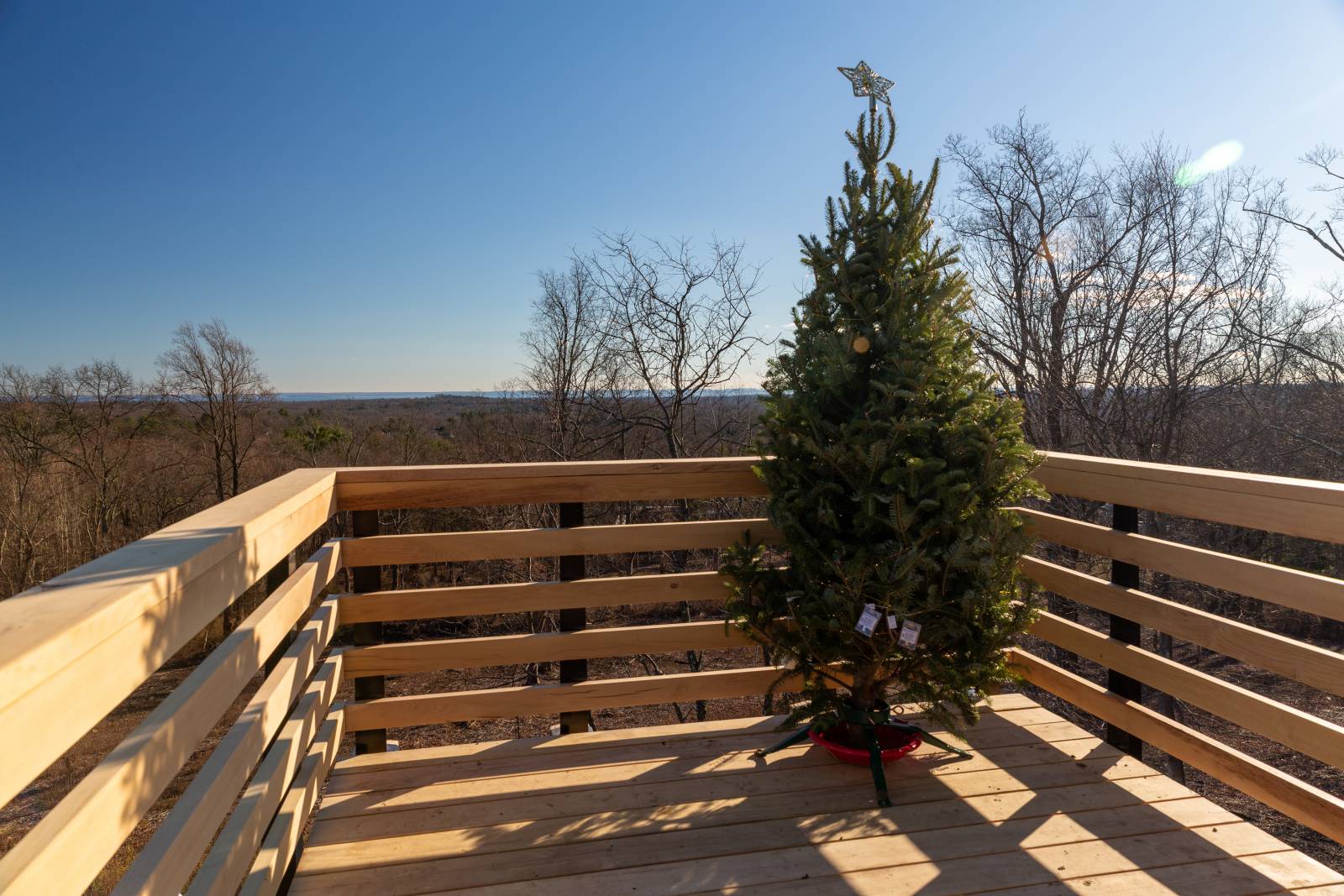 Timber Frame Observation Tower Photos | The Barn Yard