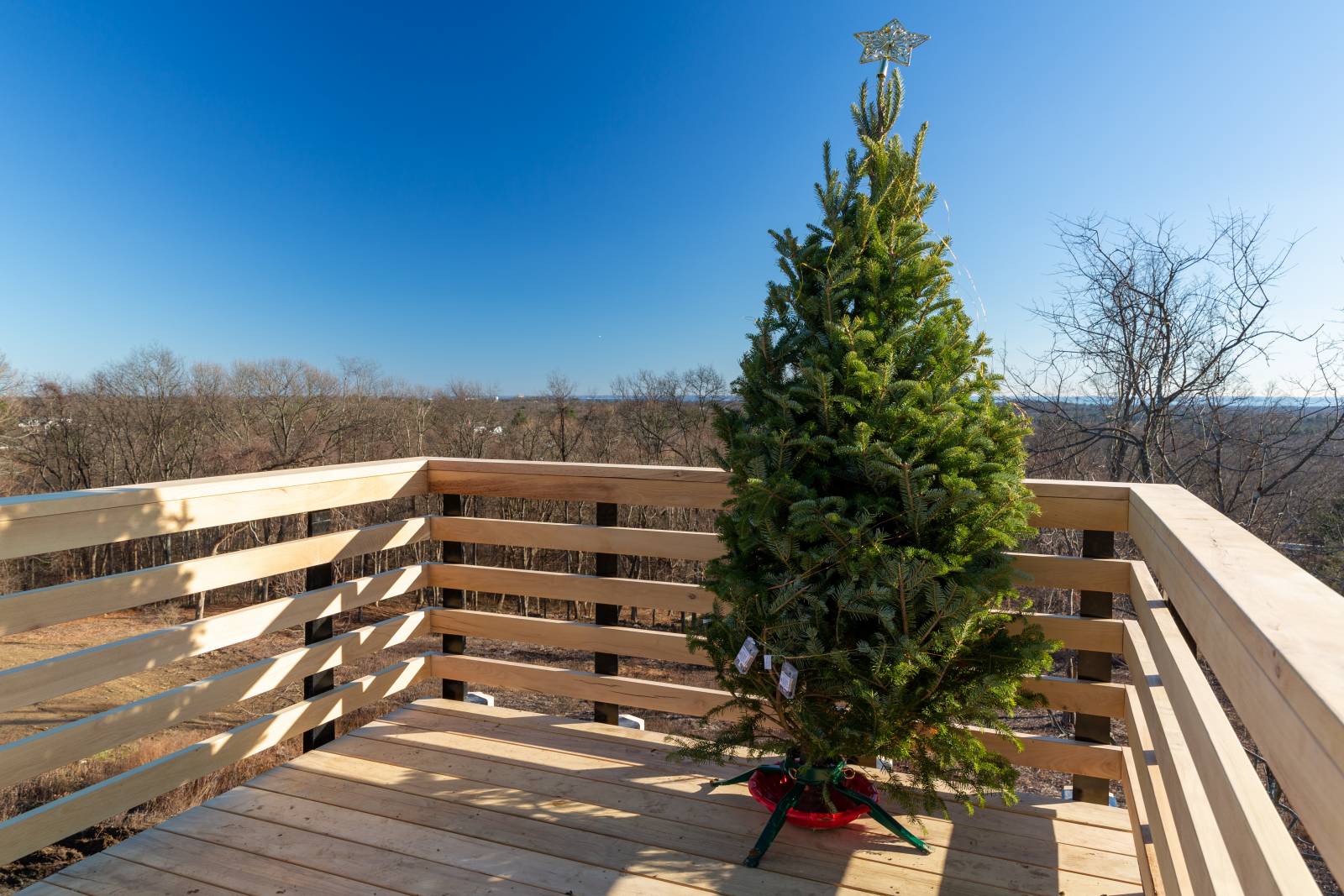 Timber Frame Observation Tower Photos | The Barn Yard