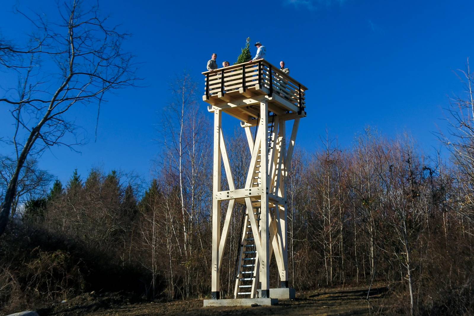 Timber Frame Observation Tower Photos | The Barn Yard