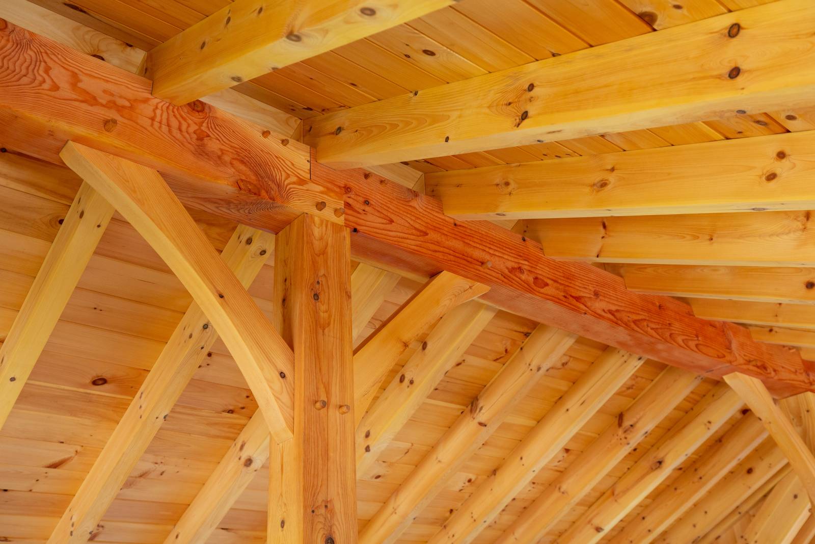 The Barn for This Season, and Every Season | The Barn Yard