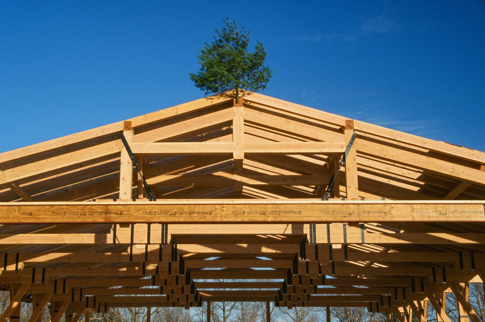 Timber Framing the Airplane Hangar: Part One | The Barn Yard