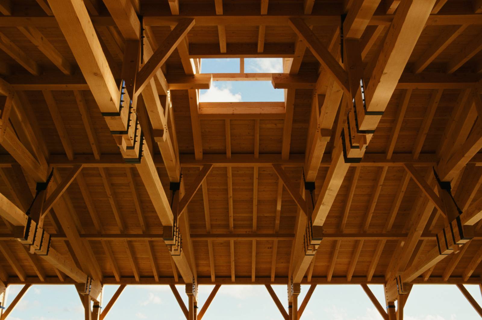 Timber Framing the Airplane Hangar: Part Two | The Barn Yard